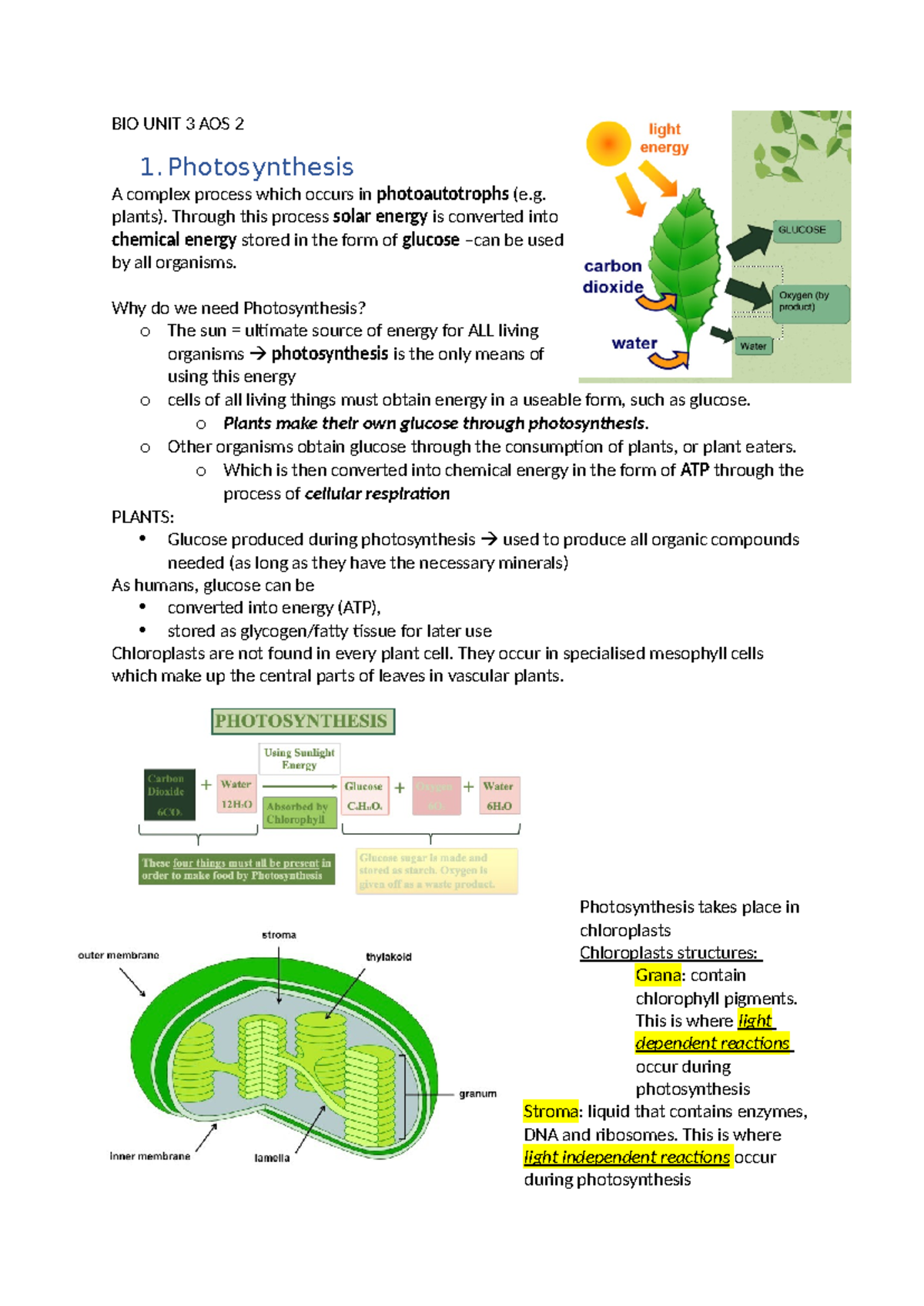 BIO UNIT 3 AOS 2 - bio notes - BIO UNIT 3 AOS 2 1. Photosynthesis A ...