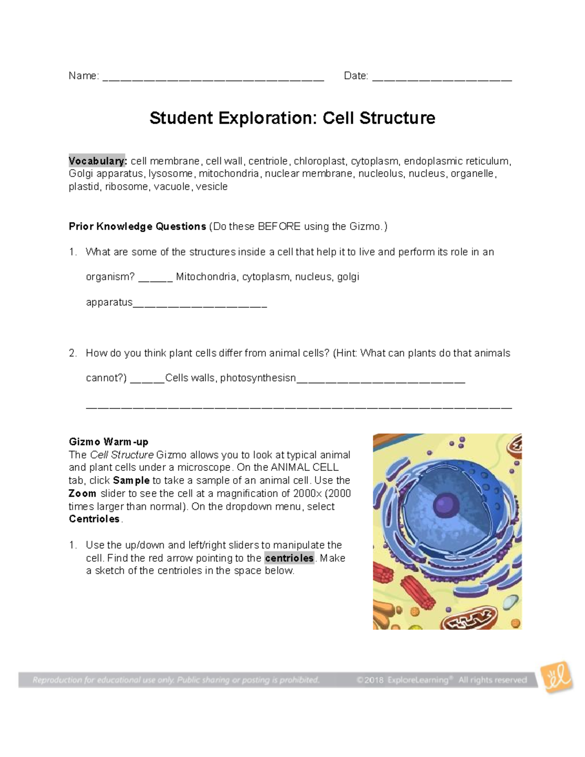 Copy of Oliver Latimer - Cell Structure Gizmo - Name ...