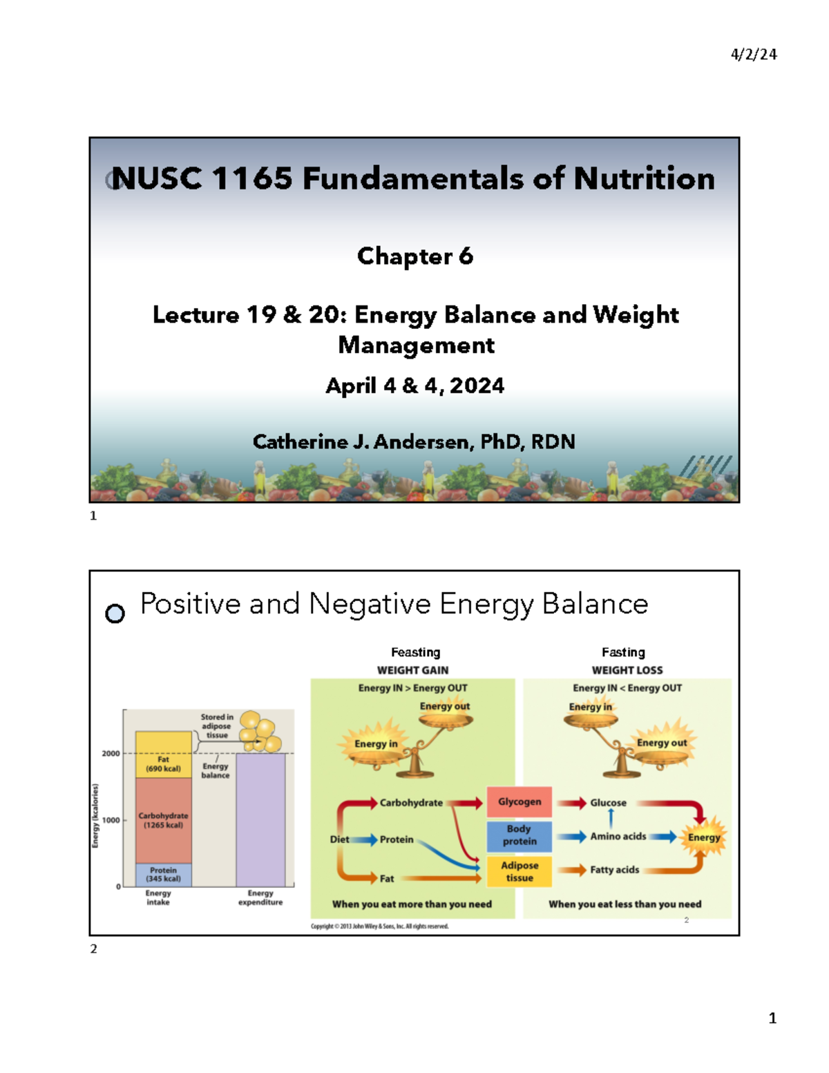NUSC 1165 Chapter 7 - Energy Balance and Weight Management - Part 2 and ...