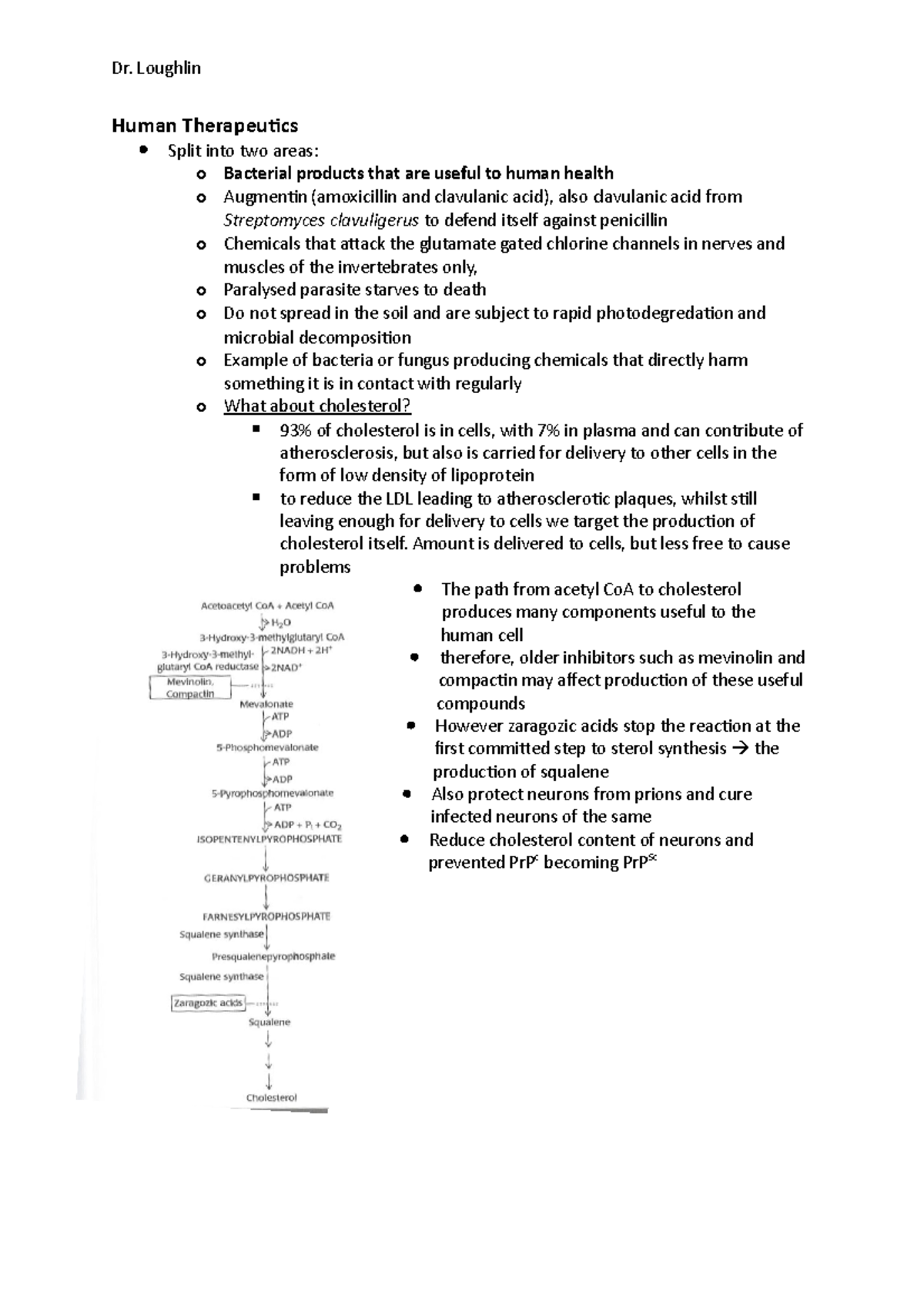 Human Therapeutics - Dr Loughlin - Human Therapeutics Split into two ...