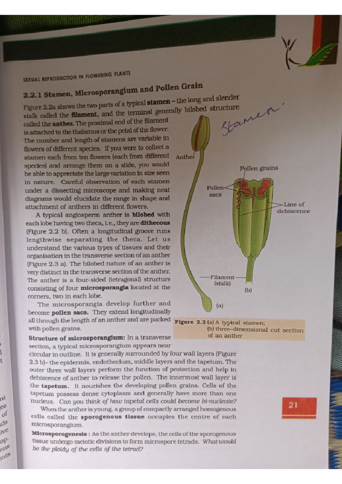 Pdf converter 202208061238 - (Figure 2 b). Often a longitudinal groove ...
