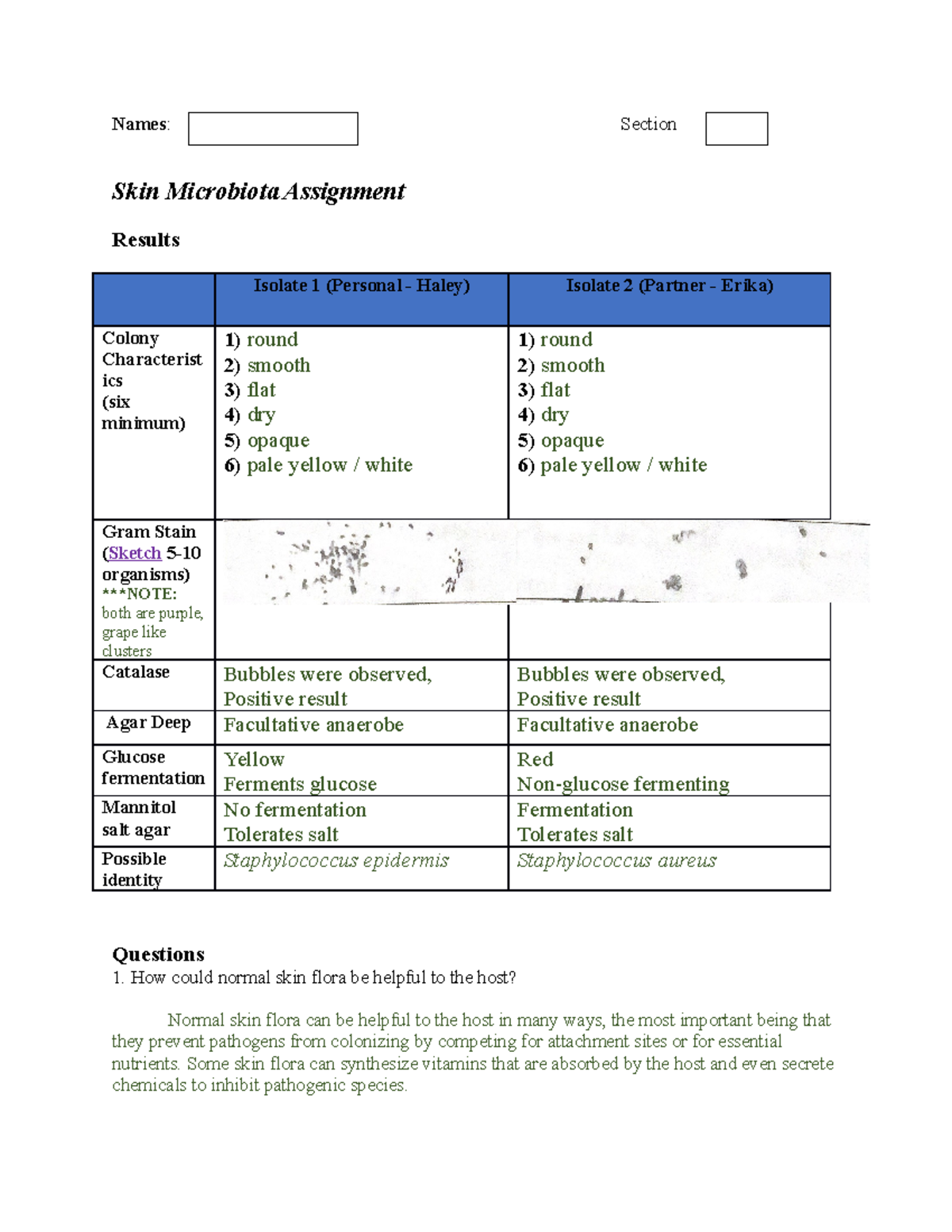 Skin Microbiota Assignment IP - Names : Section Skin Microbiota Assignment Results Isolate 1 ...