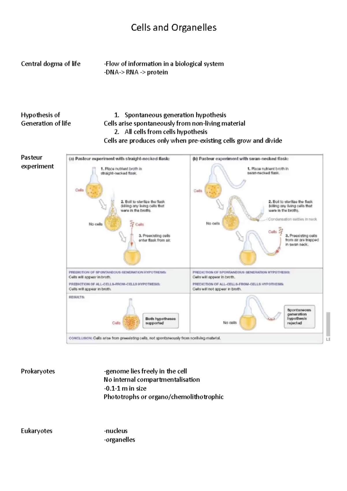 Cells and Organelles - Cells and Organelles Central dogma of life ...