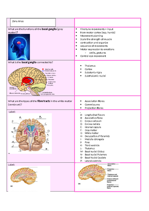 Lymphatic System Concept Map - Lymphatic System Concept Map Immunities ...