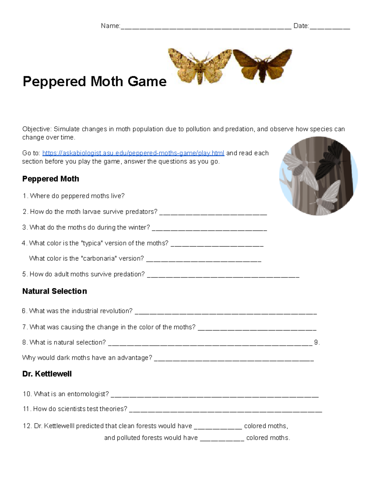 Peppered Moth Game - Practicing natural selection. - - Studocu