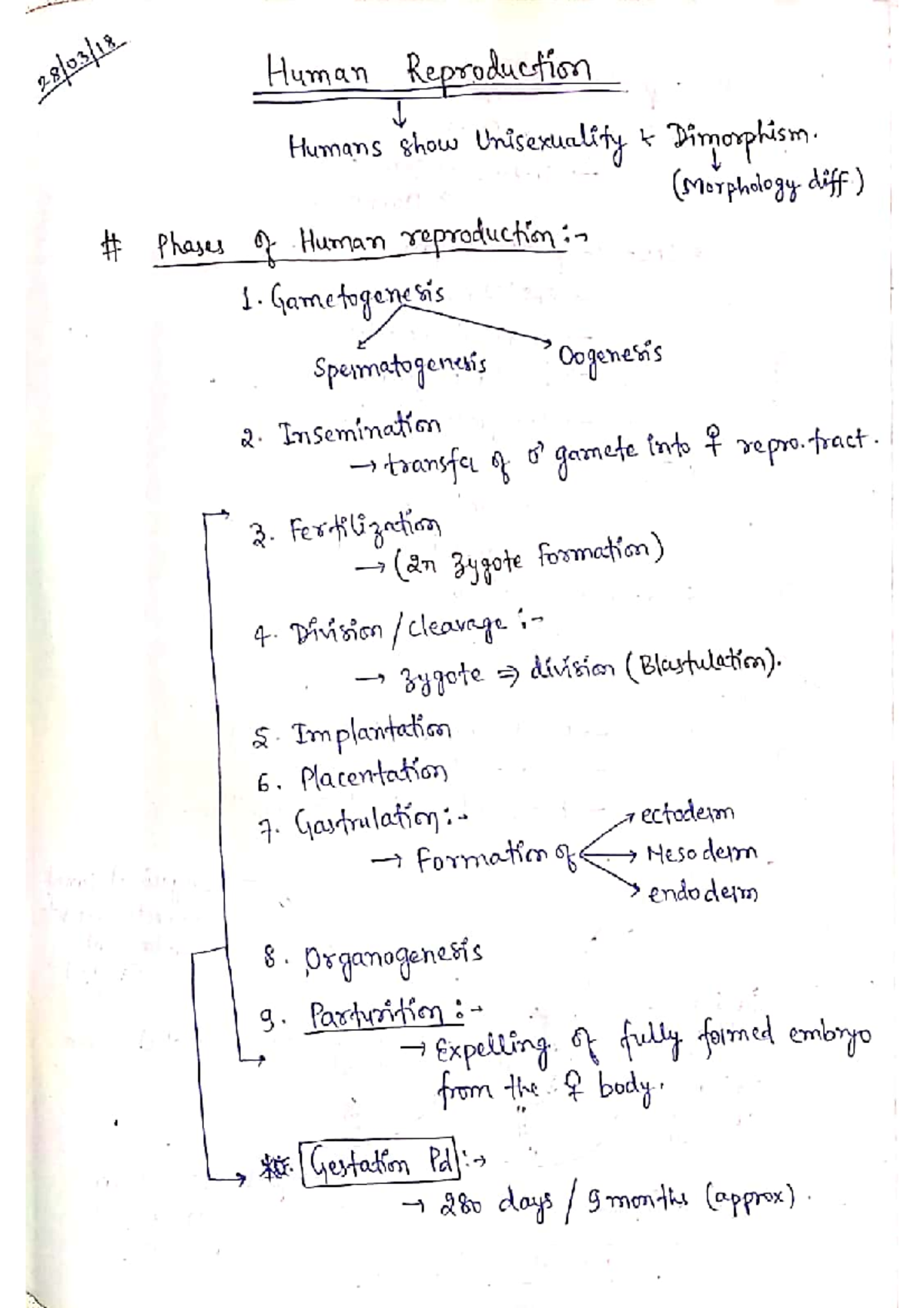 Human Reproduction - Neet - Molecular genetics - Studocu