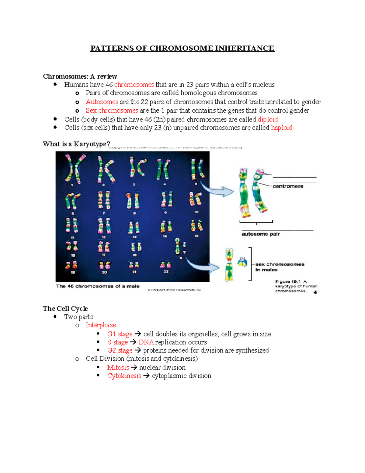 Chpt 19 bio - Lecture notes 19 - PATTERNS OF CHROMOSOME INHERITANCE ...
