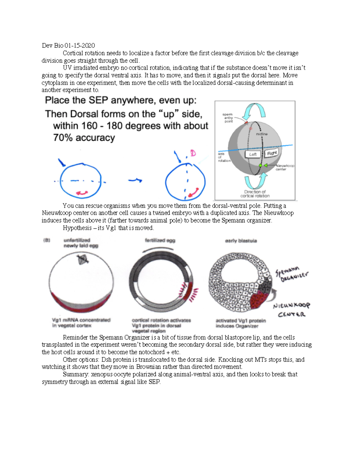 Dev Bio 01-15-2020 - Lecture notes taken on the date given in the title ...
