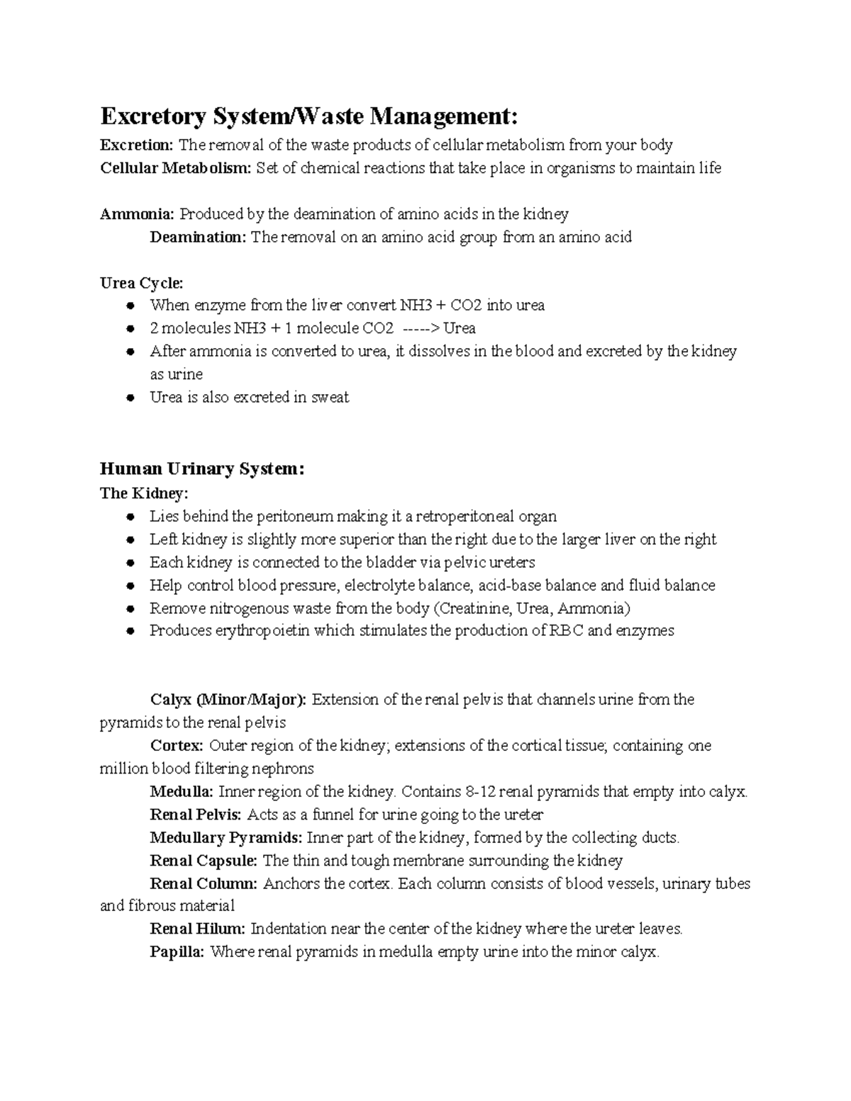 Excretory System Waste Management - Excretory System/Waste Management ...