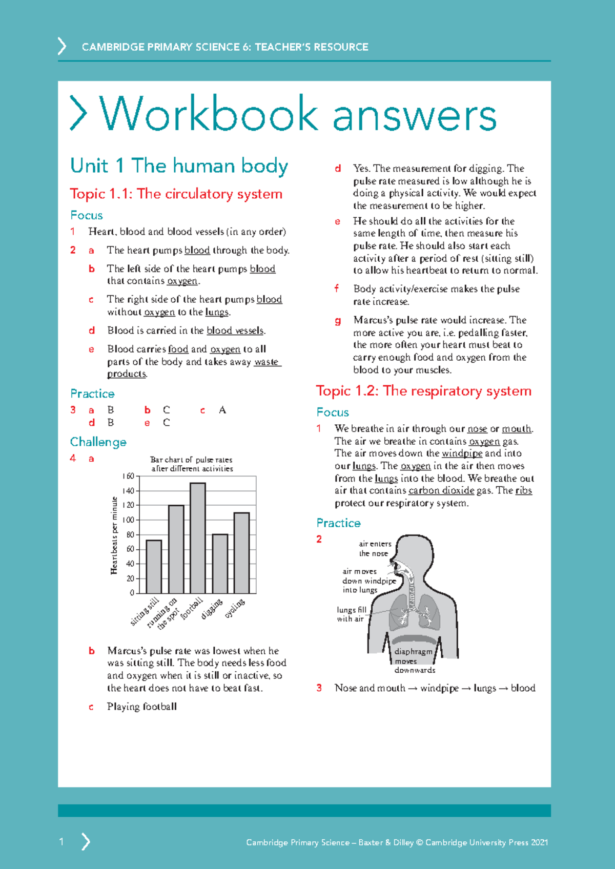 P Science 6 workbook answers - Workbook answers Unit 1 The human body ...