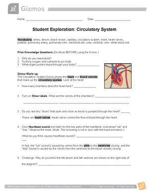 Identifying Nutrients SE Key - Identifying Nutrients Answer Key ...