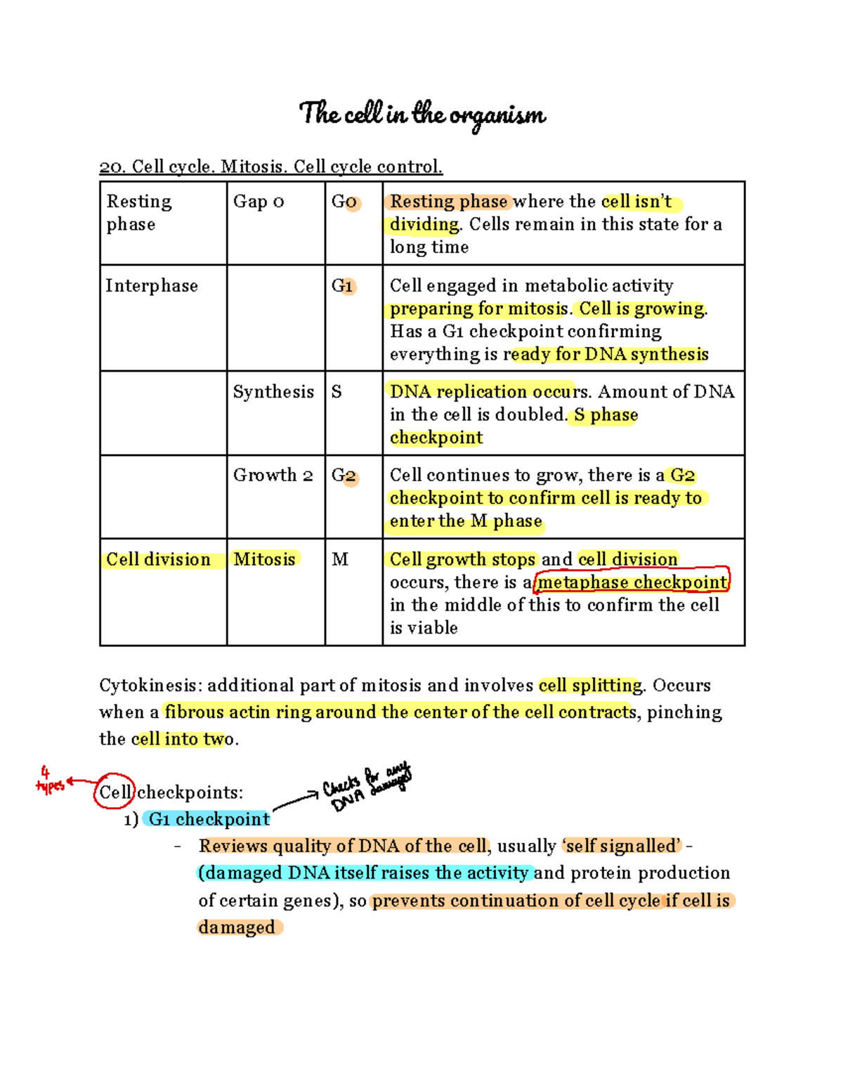 Cell cycle notes - Ęü ñüİİ ěĸ ůĘü l·ŢĒÕĸěŨķЕЕ Е - Studocu