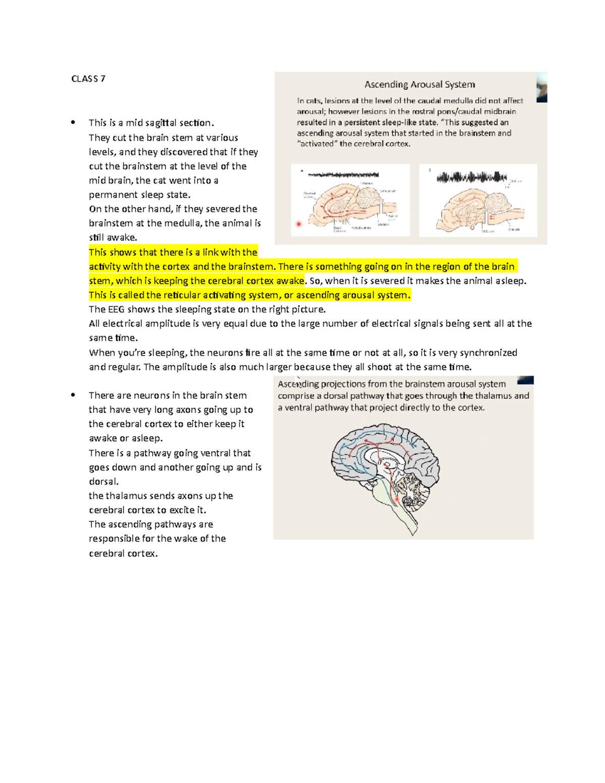 Class 7 - midbrain - CLASS 7 This is a mid sagittal section. They cut ...