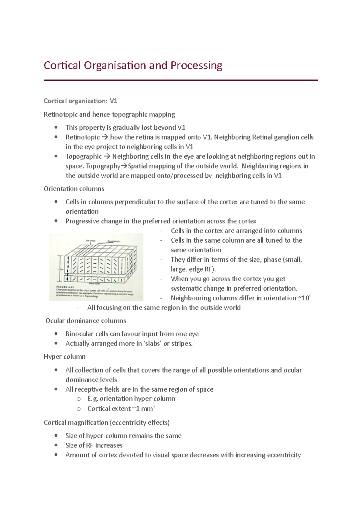 Cortical Organisation and Processing - Corical Organisaion and ...