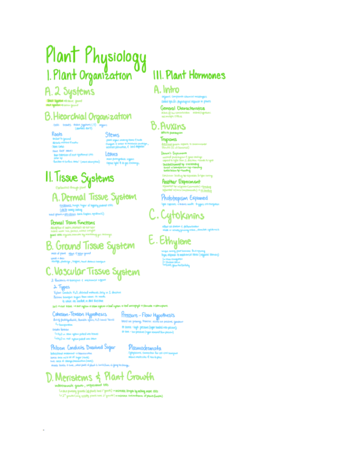 Plant Physiology - 01:119:116 - Studocu