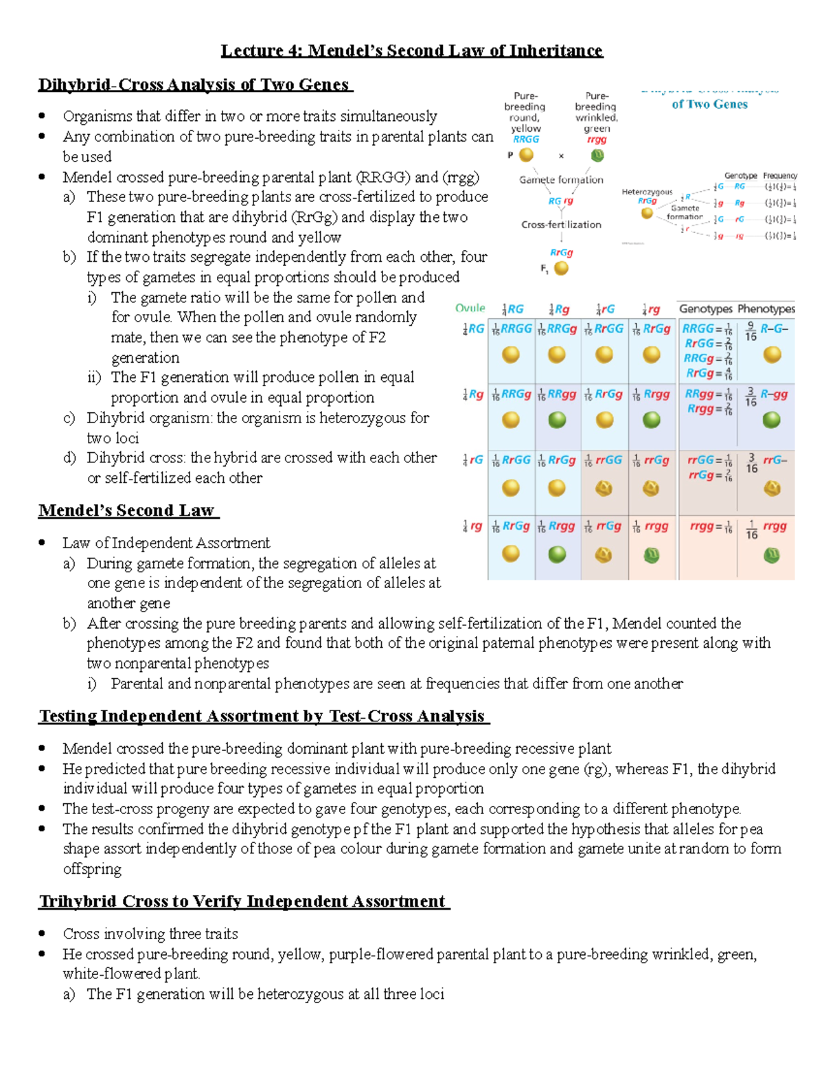 Week 2 - Lecture notes 1-10 - Lecture 4: Mendel’s Second Law of ...