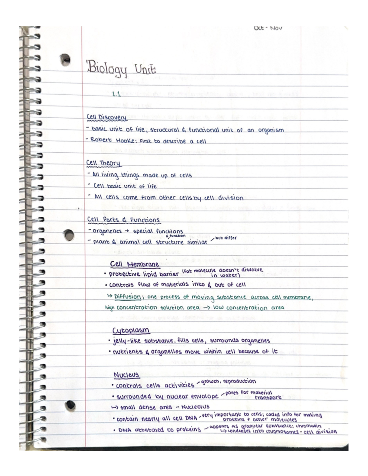 Bio Grade 10 - These are general bio notes that I did, for cell ...