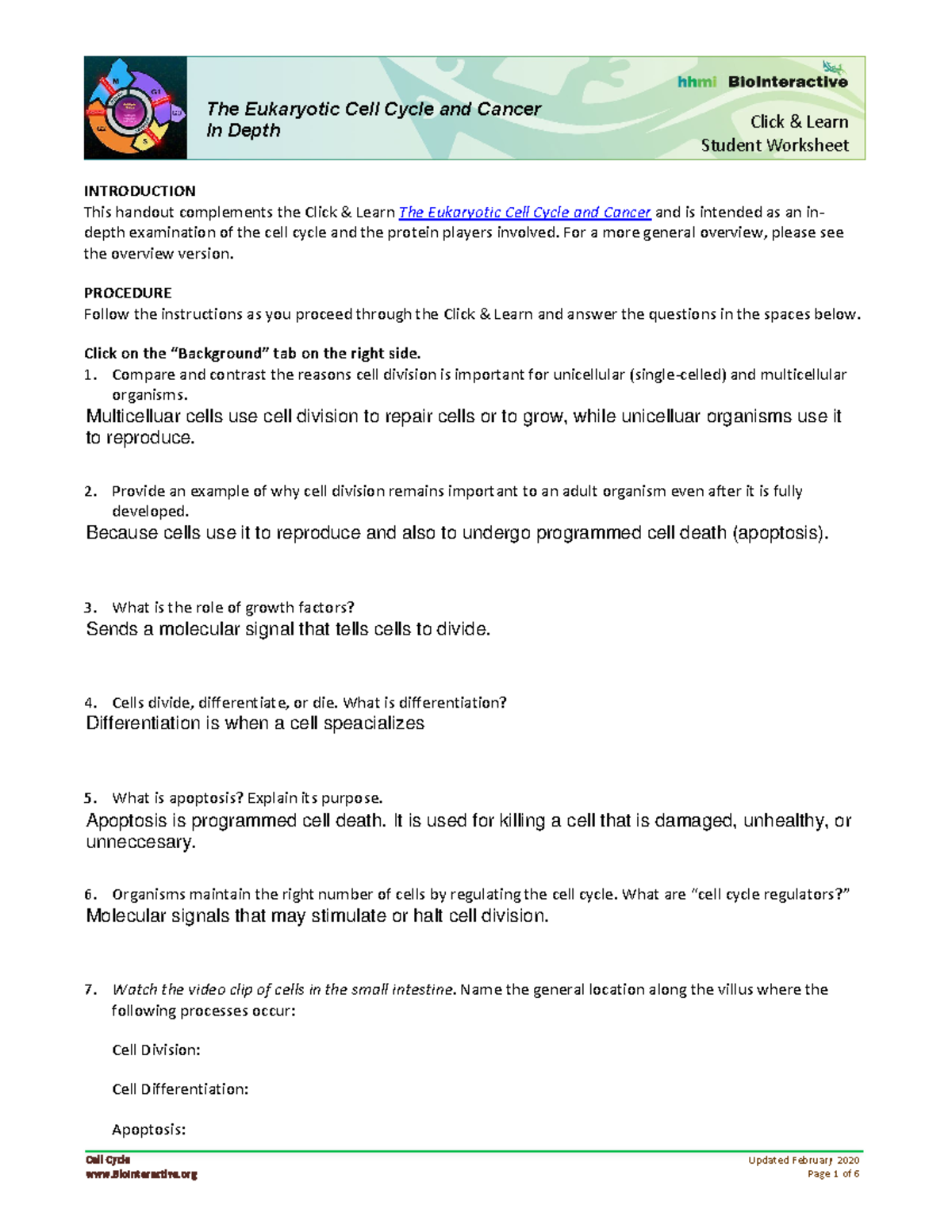 Cell-cycle-interactive - Click & Learn Student Worksheet The Eukaryotic ...