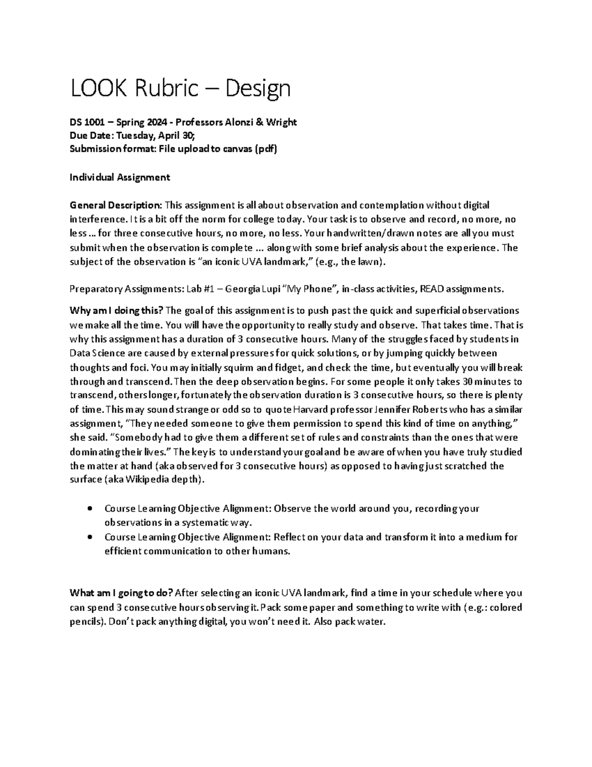 LOOK Ahead Rubric - LOOK Rubric – Design DS 1001 – Spring 2024 ...