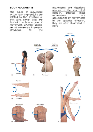 Muscular System - Histology and Physiology - Transes - LECTURE / WEEK 3 ...