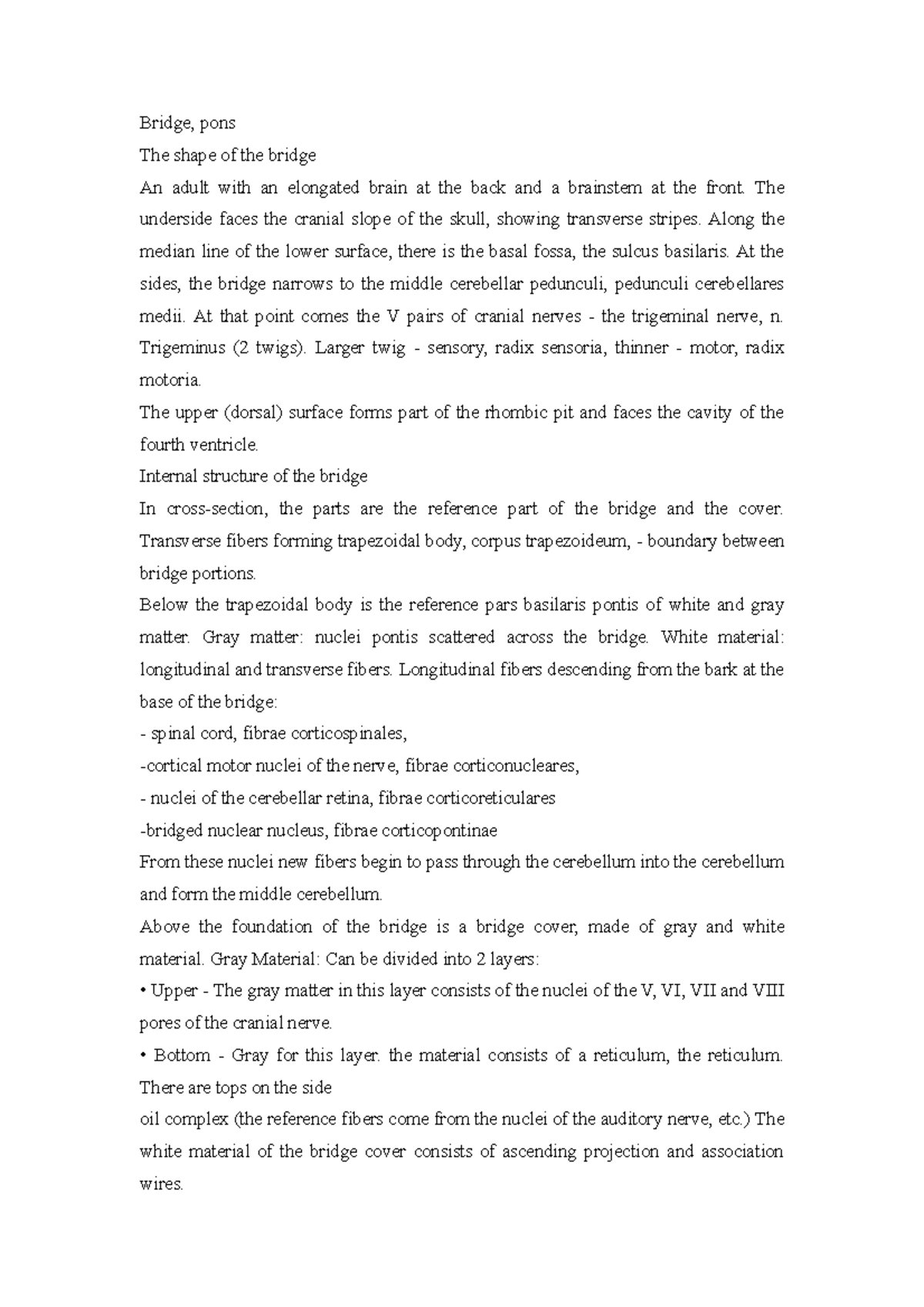 Bridge, pons - Bridge, pons The shape of the bridge An adult with an ...