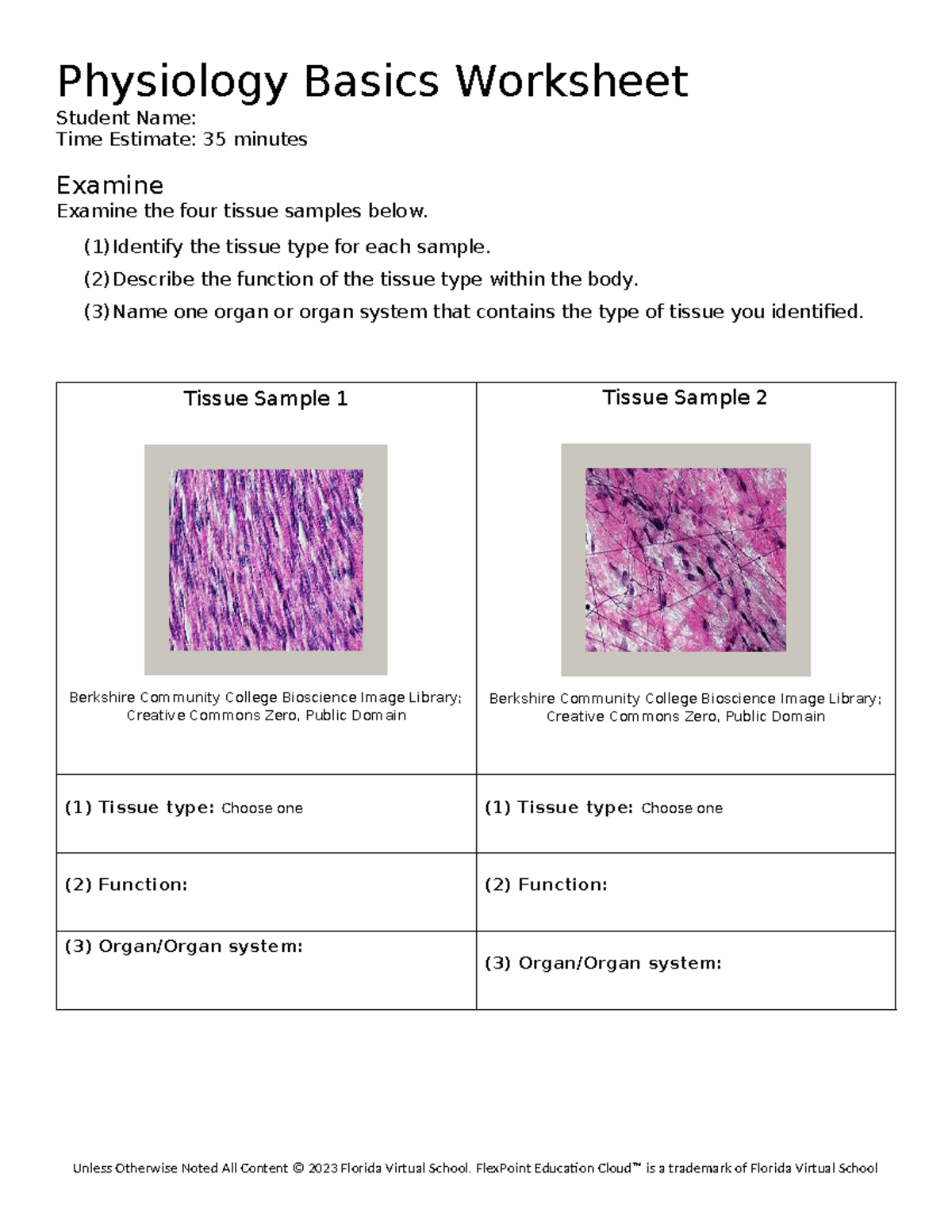 Copy of 103 Physiology Basics Worksheet - Physiology Basics Worksheet ...