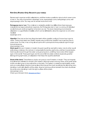 Copy of 3.06 Lab Report Template Rev 2022 - 03 Coastal Dynamics Lab ...