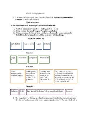 Module 7 study guide - Module 7 Study Questions What is Cell Theory ...
