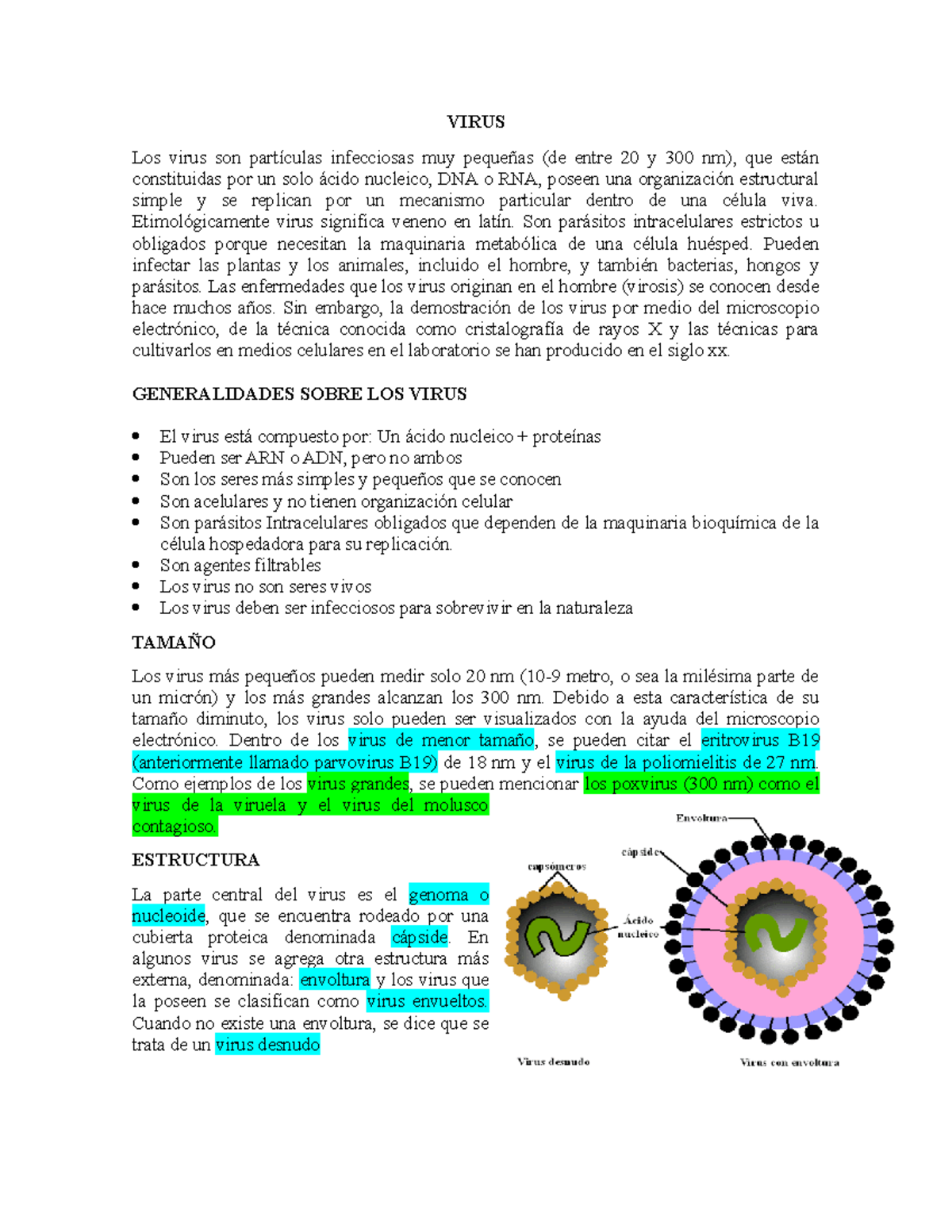 Virus - Apuntes MICROBIOLOGIA - VIRUS Los virus son partículas ...