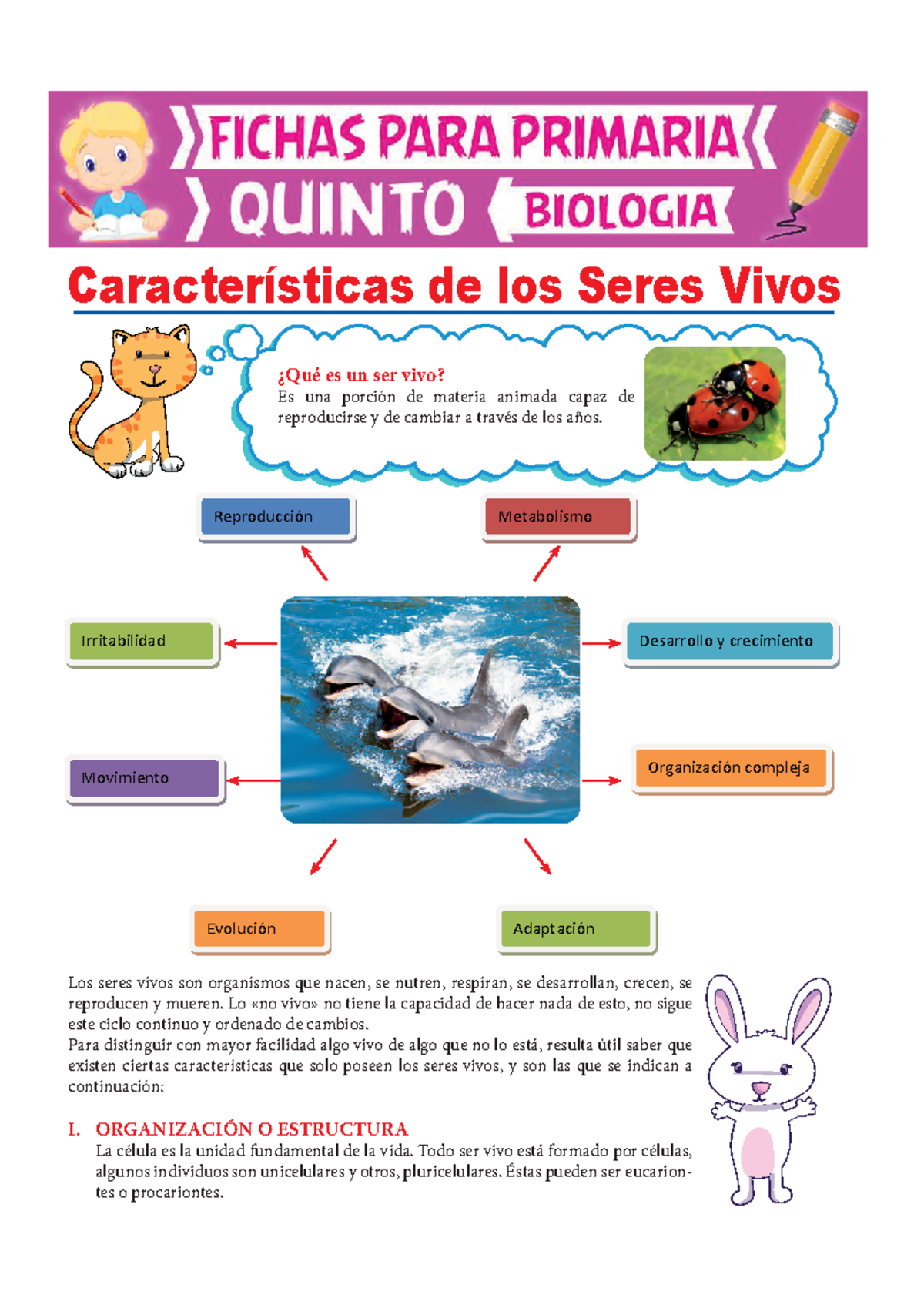 Características de los Seres Vivos para Quinto de Primaria - ¿Qué es un ...
