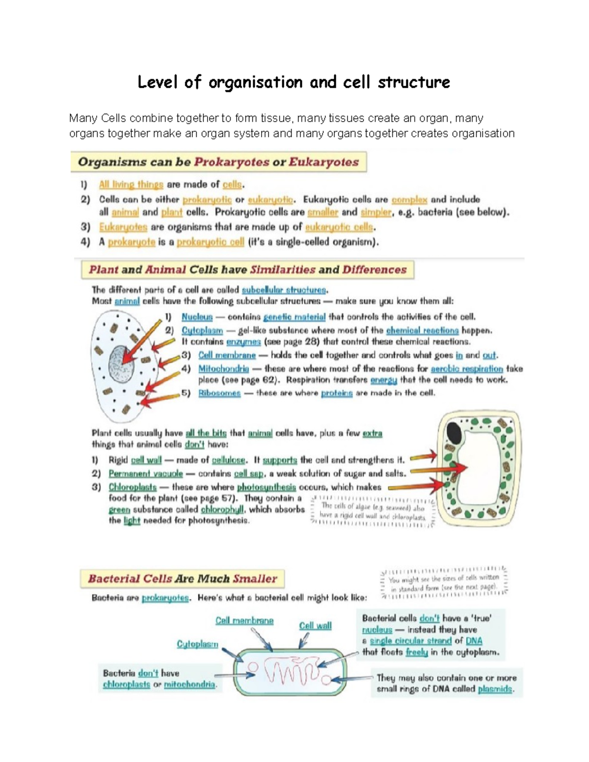 Level of organisation and cell structure - Studocu
