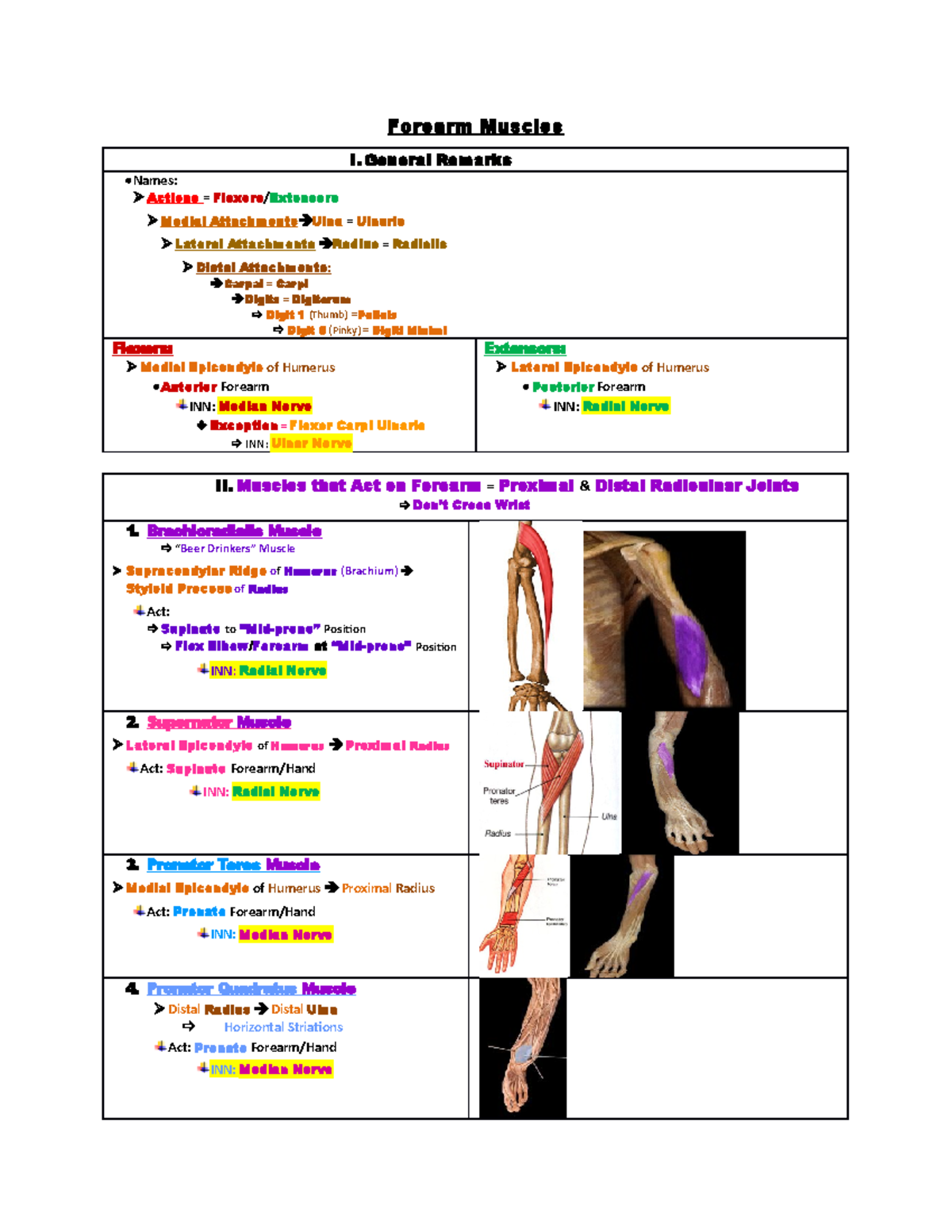 Forearm Muscles - Dr. Clapp - Forearm Muscles I. General Remarks Names ...