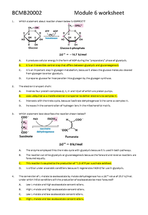 Module 5 worksheet with answers-1 - Warning: TT: undefined function: 32 Warning: TT: undefined ...