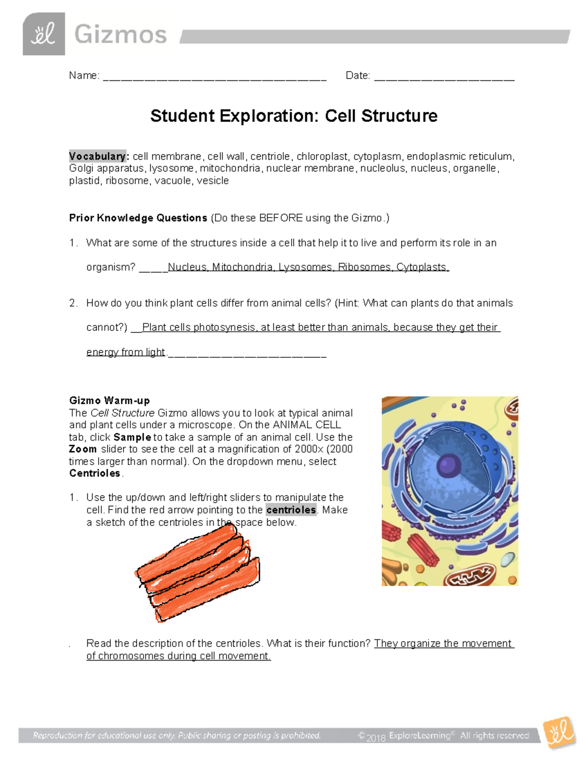 Cell Structure SE - 2018 Name ...