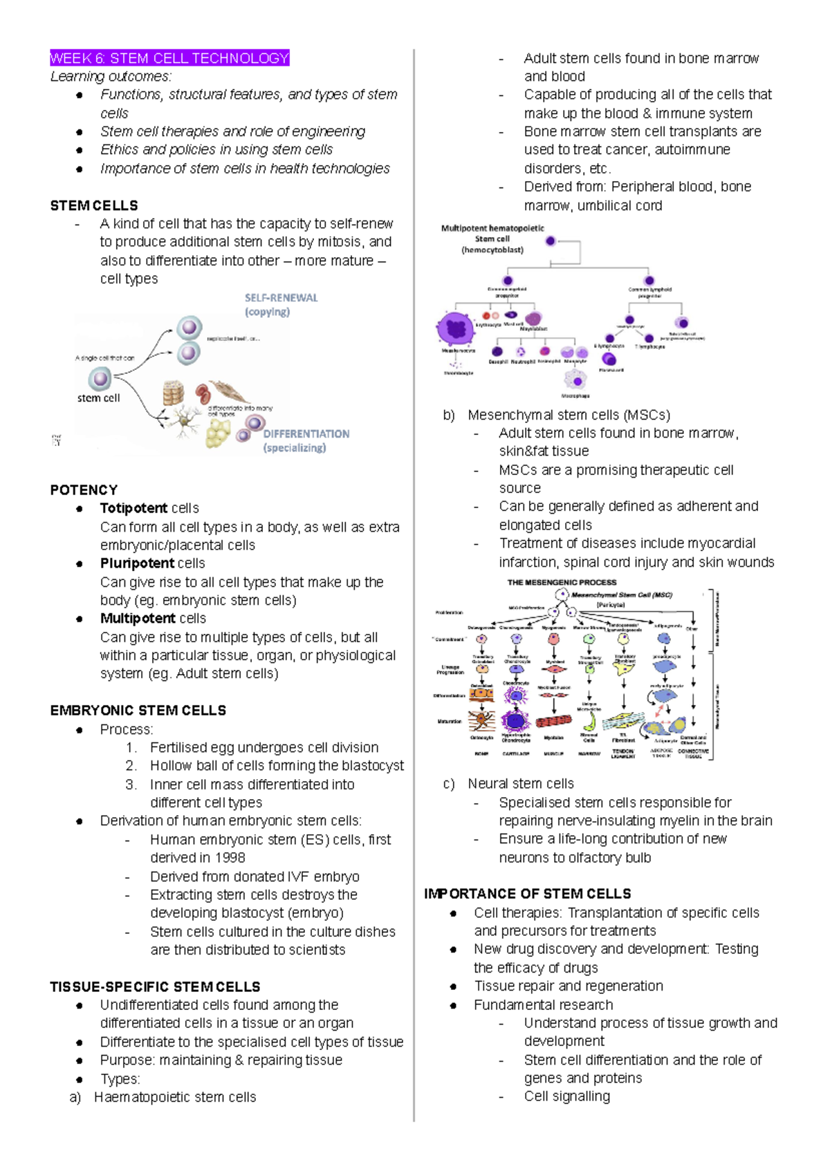 BMET1961 QUIZ 2 Notes - WEEK 6: STEM CELL TECHNOLOGY Learning outcomes ...