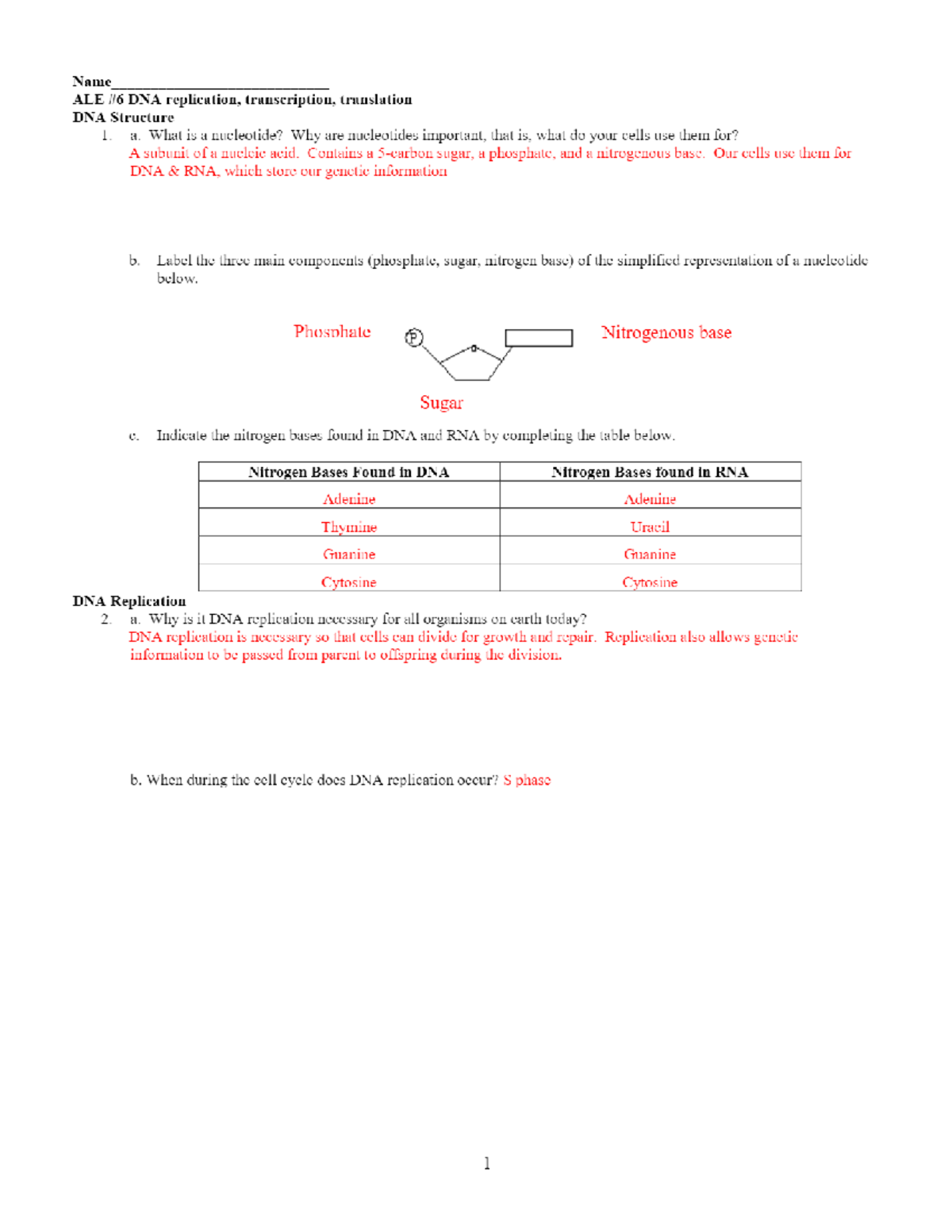 ALE #6 DNA replication, transcription, translation - Studocu