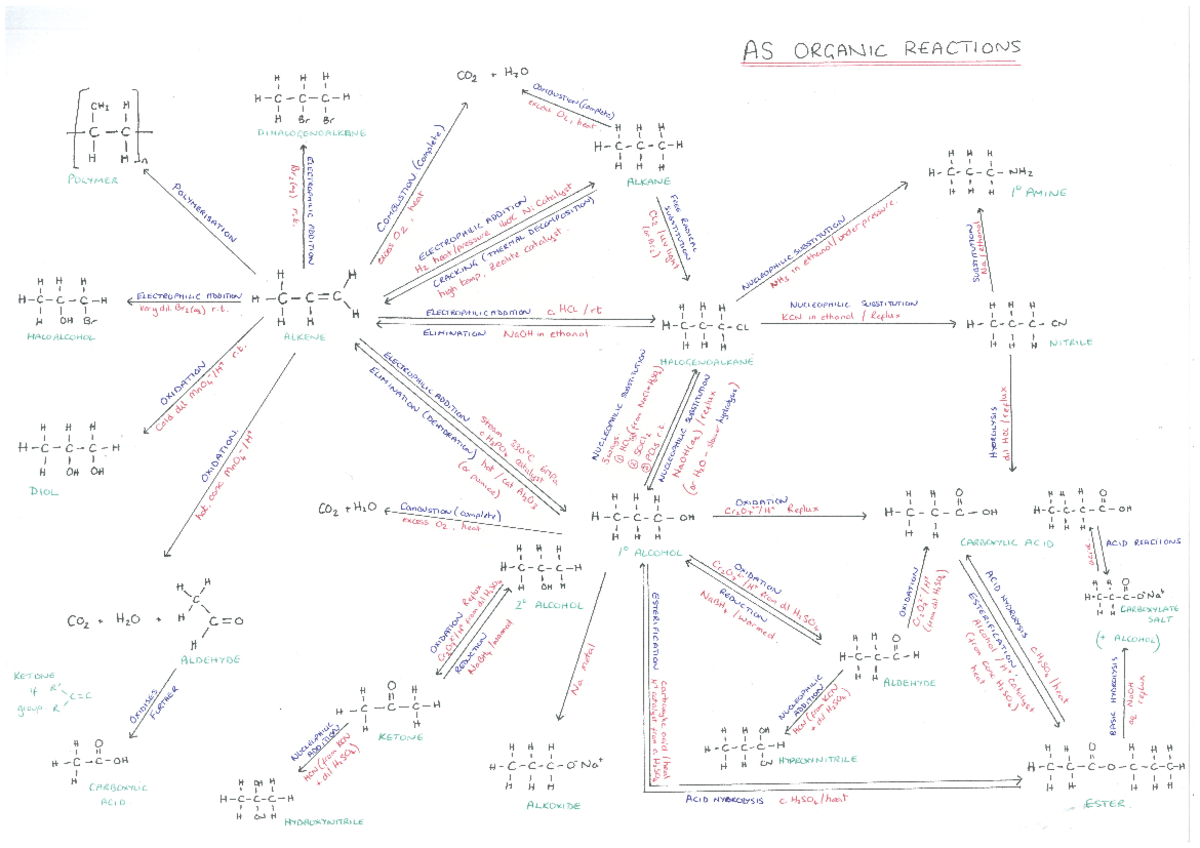 Organic Reactions Pathways - Chemistry of the Living World - Studocu