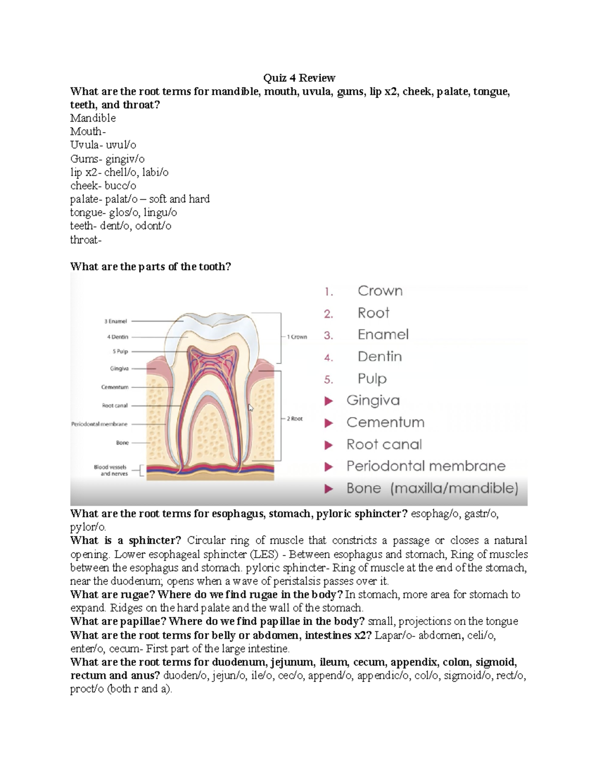 Quiz 4 Review - Medical Terminology Master of Biomedical Sciences ...