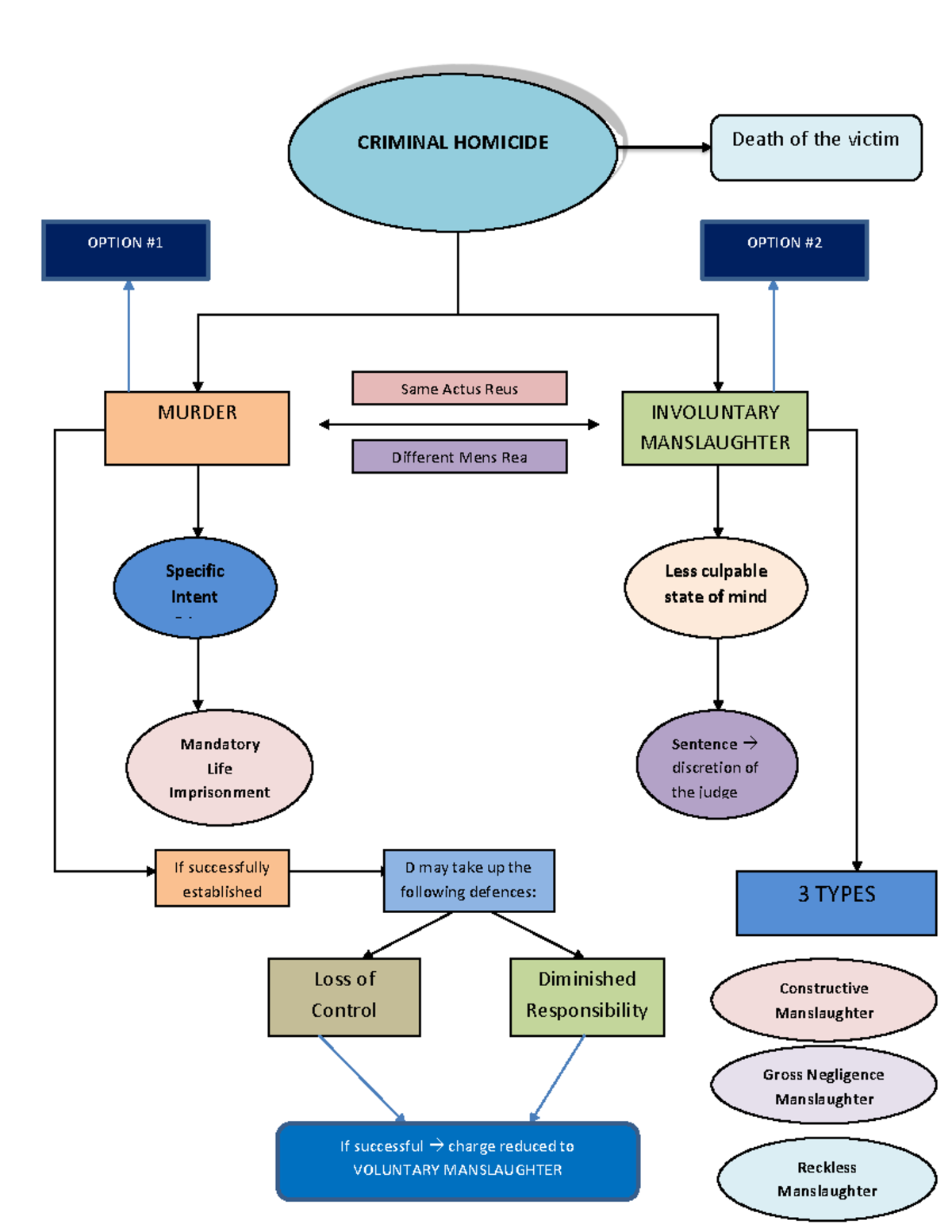 Murder - homocide notes - CRIMINAL HOMICIDE Death of the victim MURDER ...