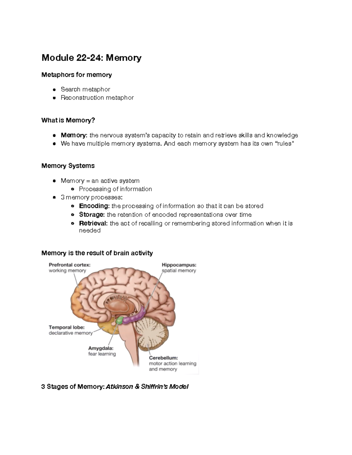 Module 22-24 - PYSC1101D - Module 22-24: Memory Metaphors for memory Search metaphor ...