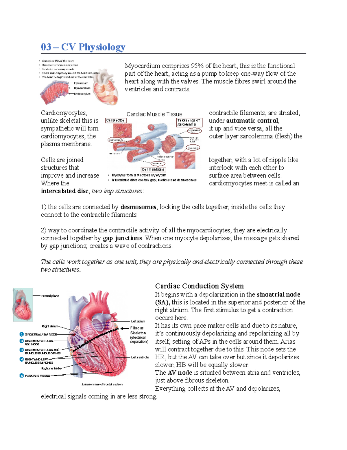 3 - CV Physiology - Lecture notes 3 Winter Term - 03 – CV Physiology ...