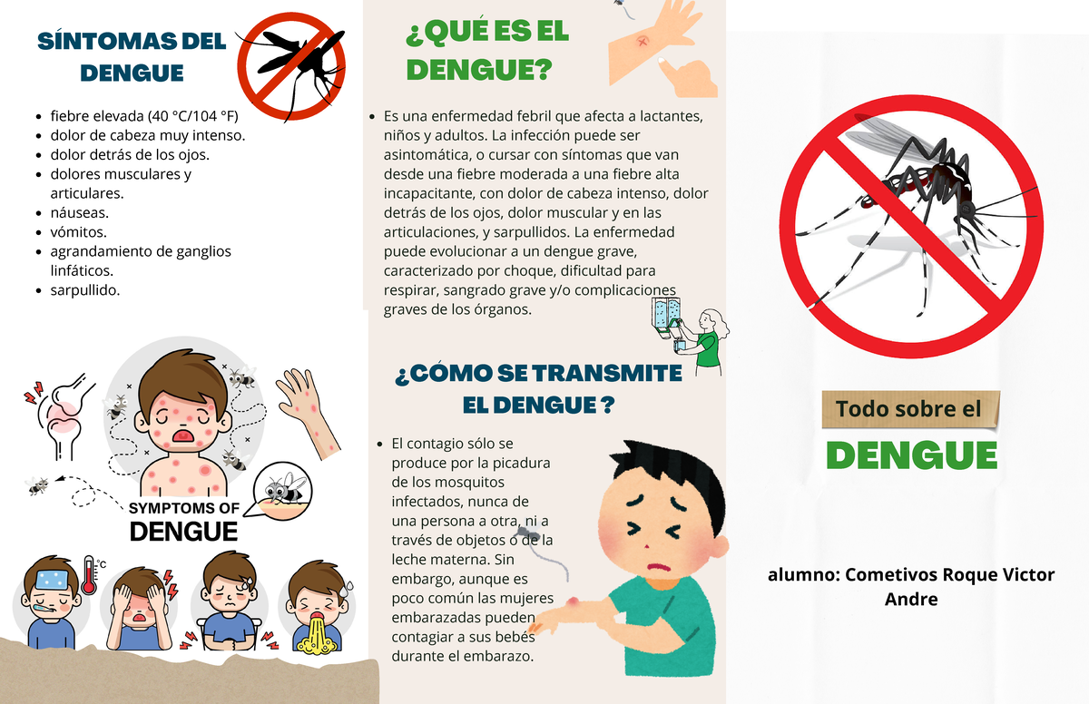 Triptico de mosquitos - ¿QUÉ ES EL DENGUE? DENGUE Todo sobre el alumno: Cometivos Roque Victor ...
