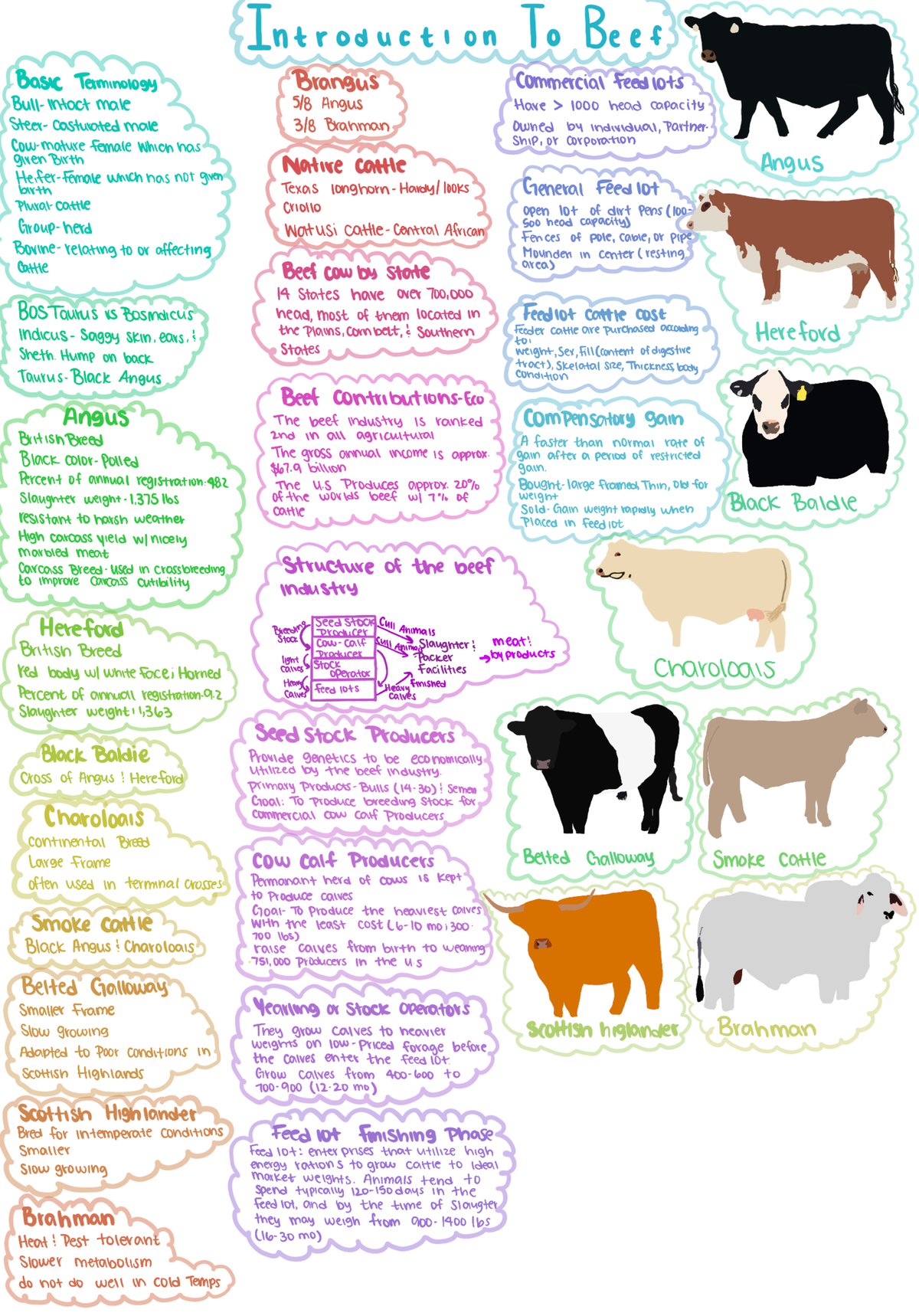 Intro to beef - AVS 145 - Studocu