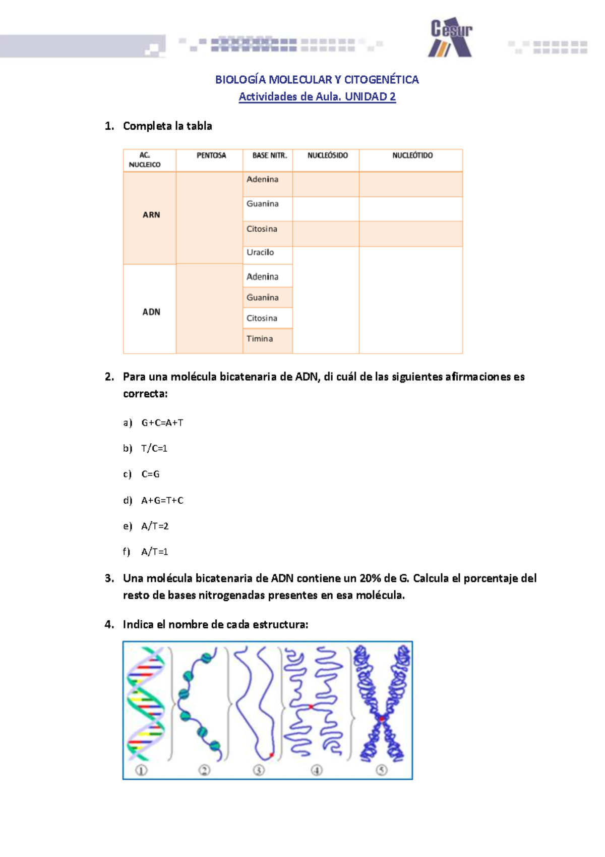 Actividades Tema 2 - BIOLOGÕA MOLECULAR Y CITOGEN.. Actividades de Aula. UNIDAD 2 Completa la ...