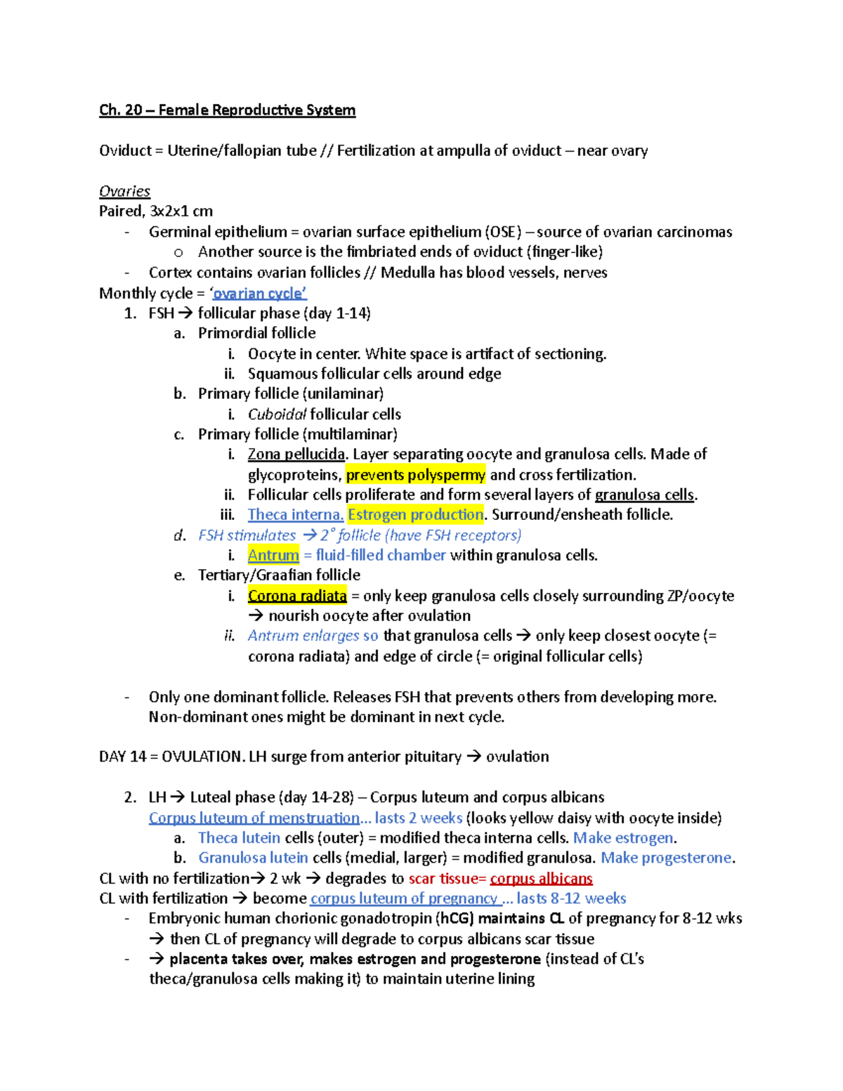 Ch20 Notes - Female Reproductive System - Ch. 20 Female Reproductive ...