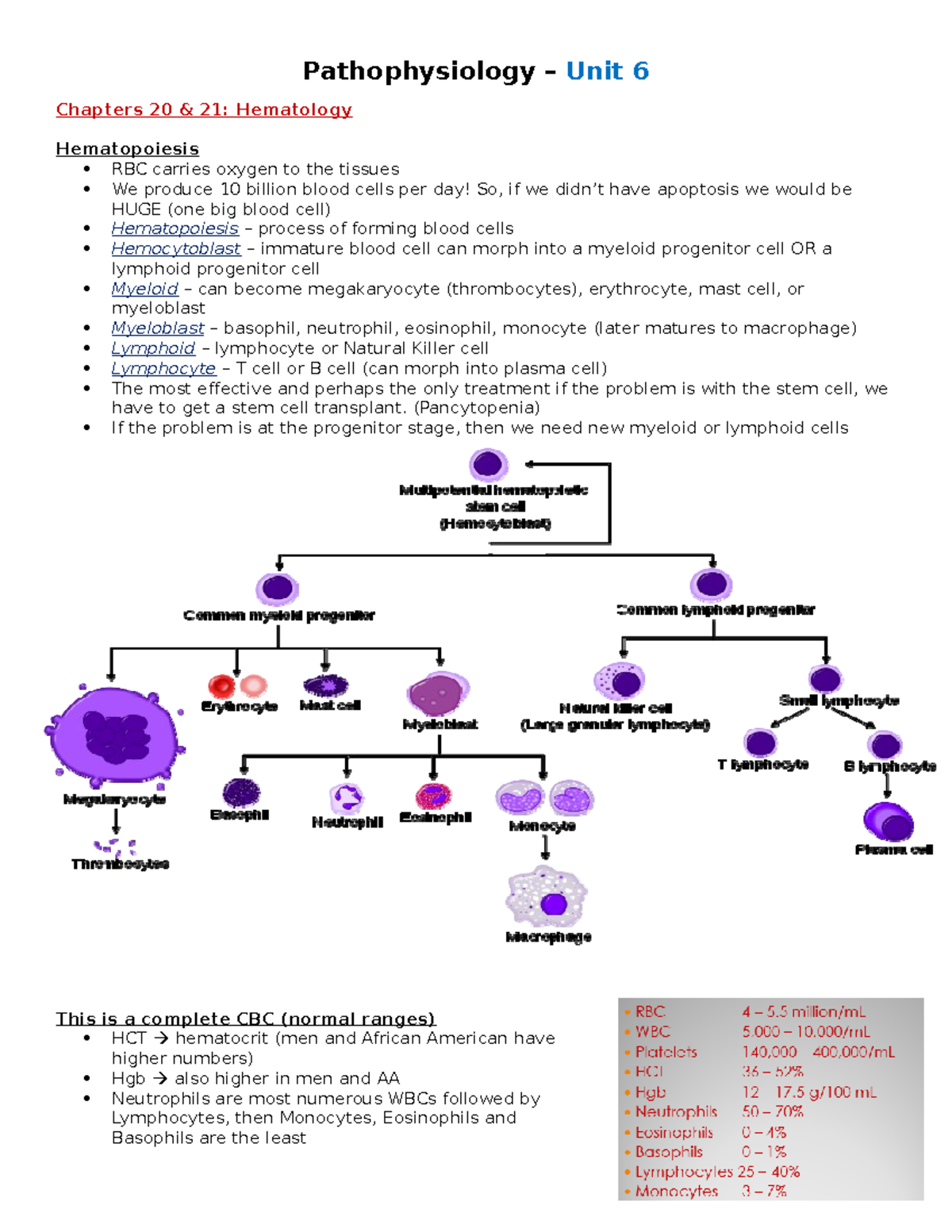 Patho Study Guide 3 - Unit 6 - Pathophysiology – Unit 6 Chapters 20 ...