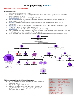 Patho Study Guide 3 - Unit 4 - Pathophysiology – Unit 4 Chapters 15 ...