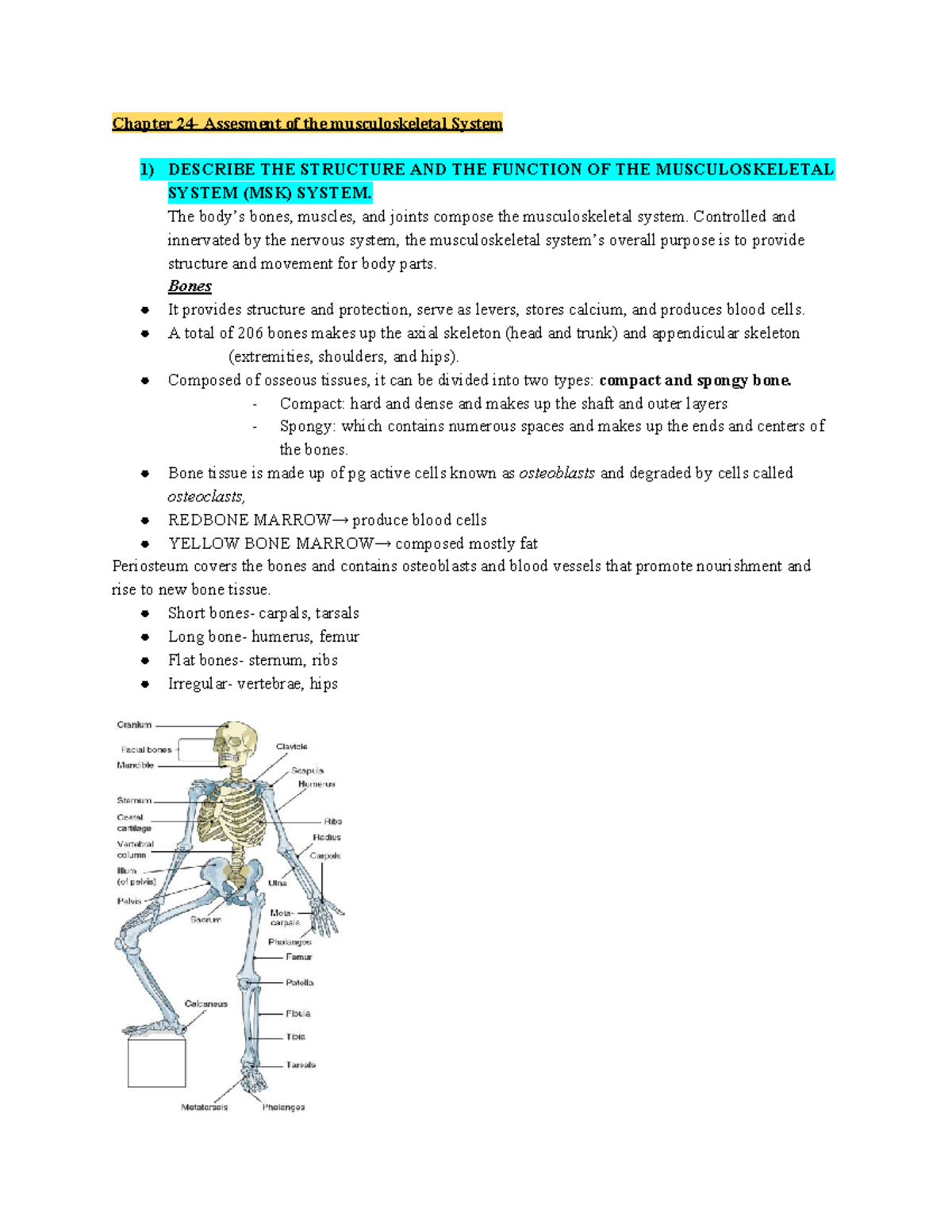 Exam 3 chap 24 (MSK) - Lecture notes 1-10 - Chapter 24- Assesment of ...