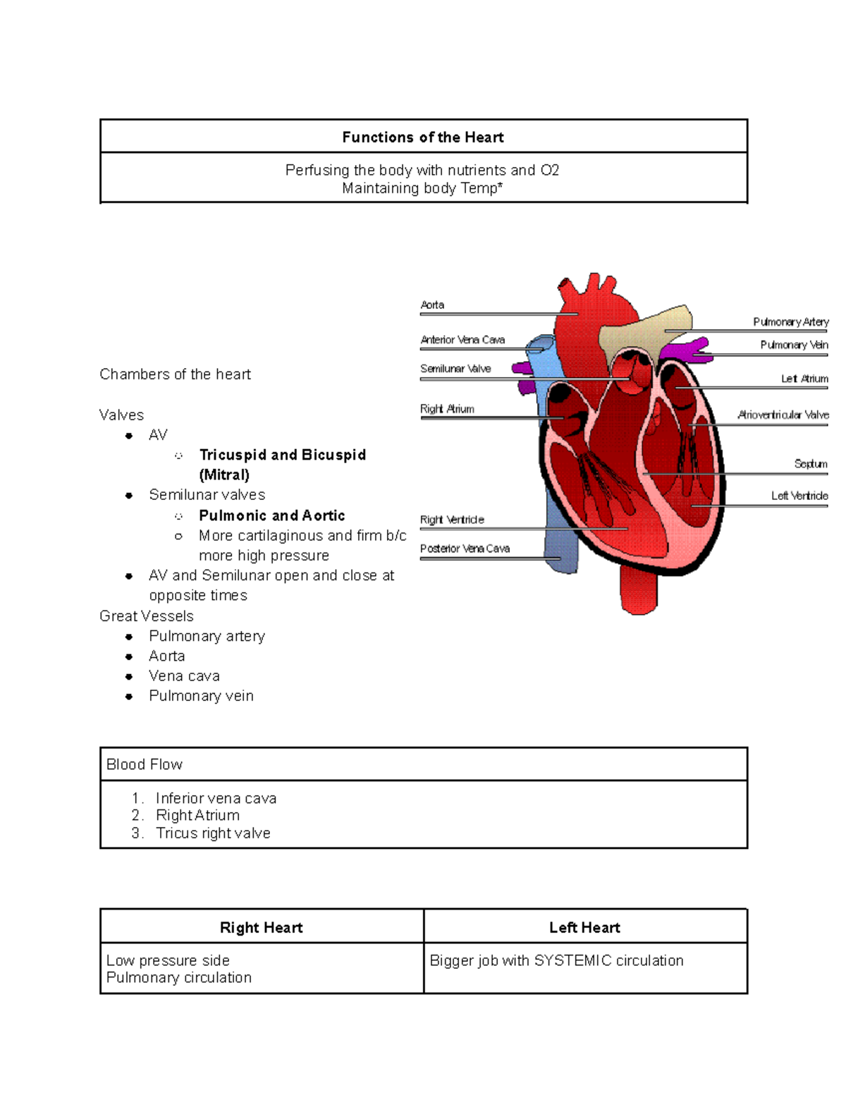 N319 Exam 5 - Cardiac - These are lecture notes from my time in N319 ...