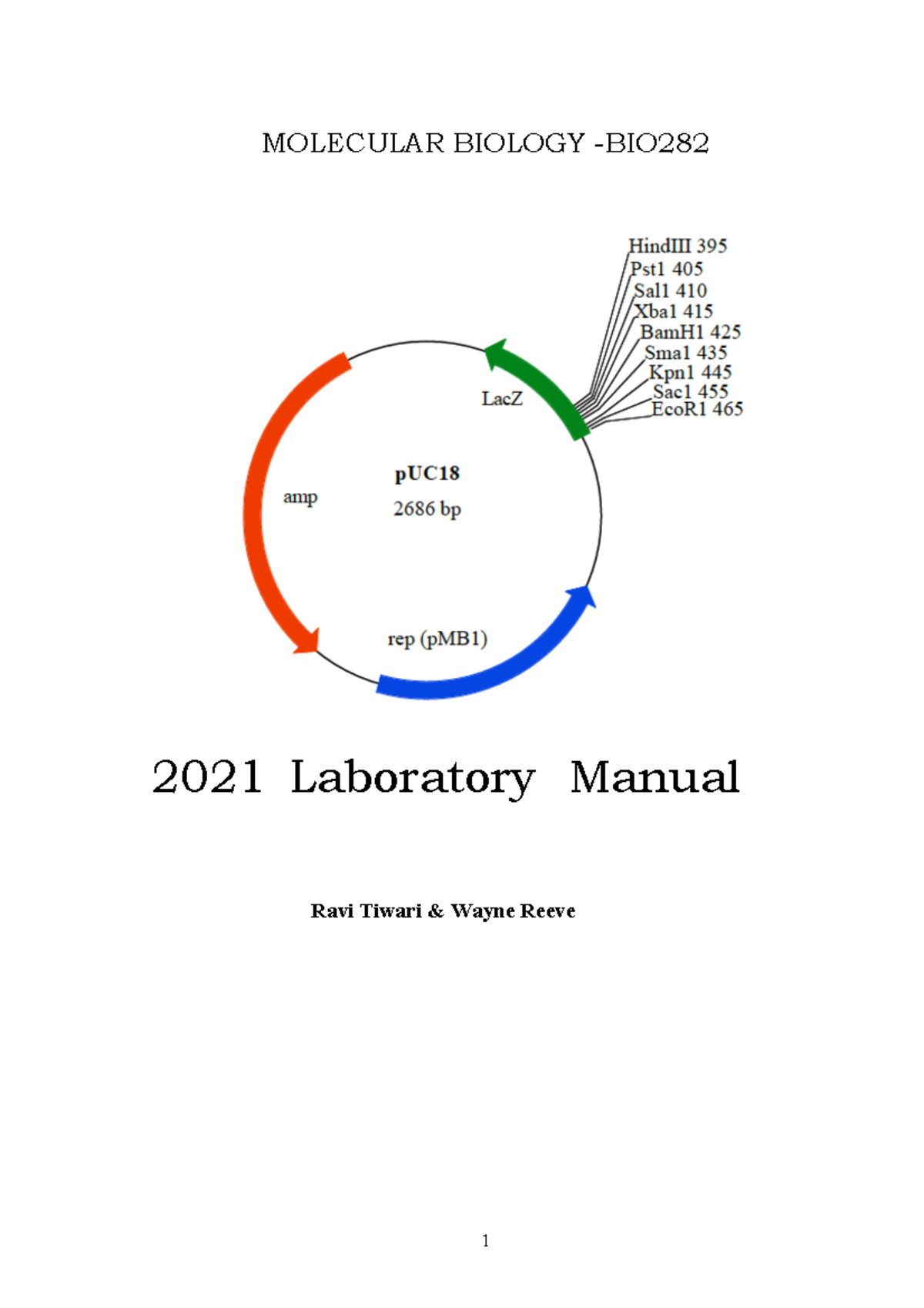Lab Manual For BIO282 2021 - MOLECULAR BIOLOGY -BIO 2021 Laboratory ...